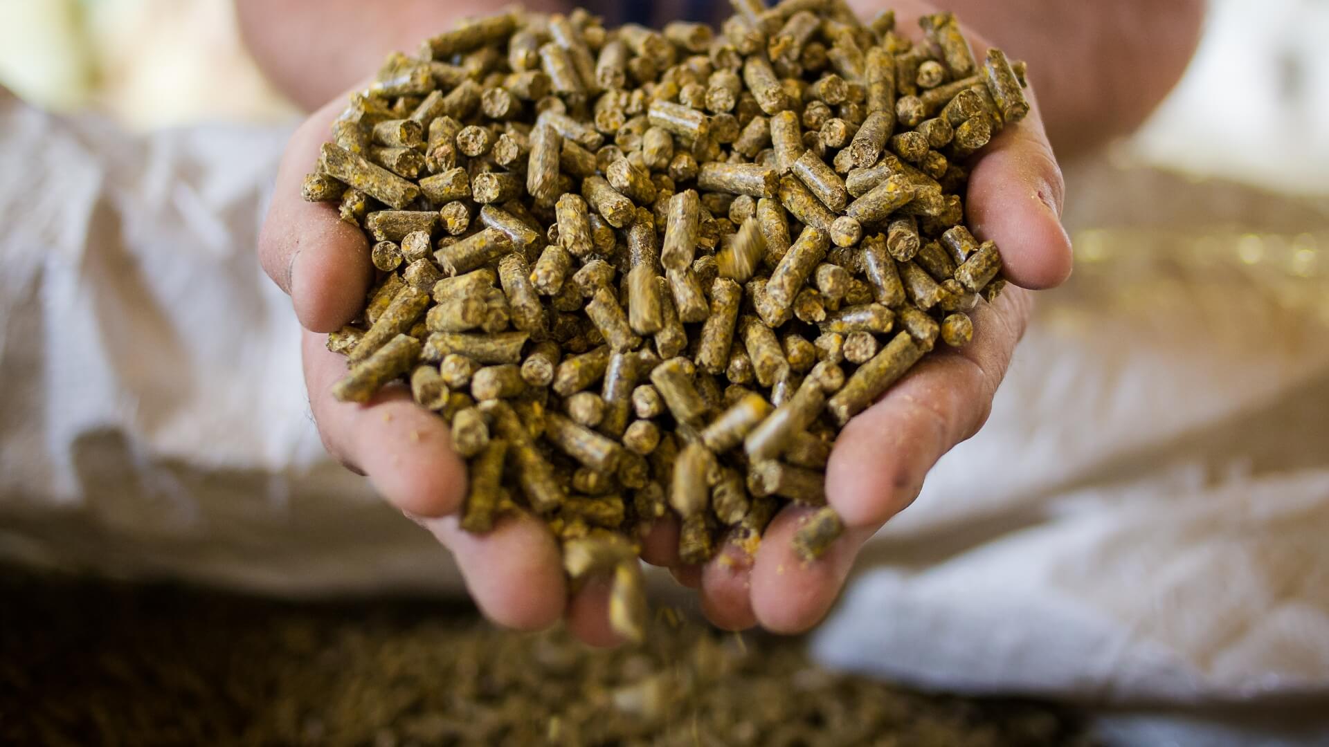 Bag Feed – Tom's Hay Farm
