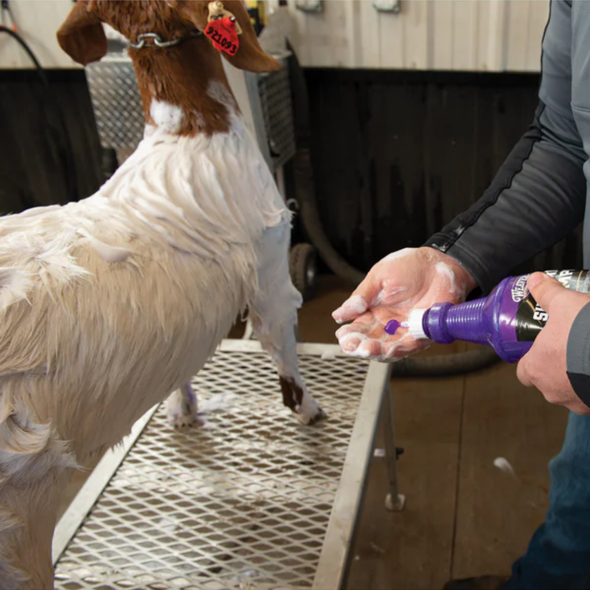 Goat Shampoo & Conditioner – Tom's Hay Farm