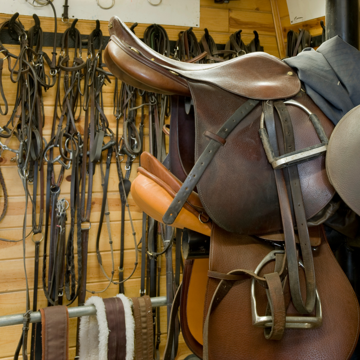 Horse Tack – Tom's Hay Farm