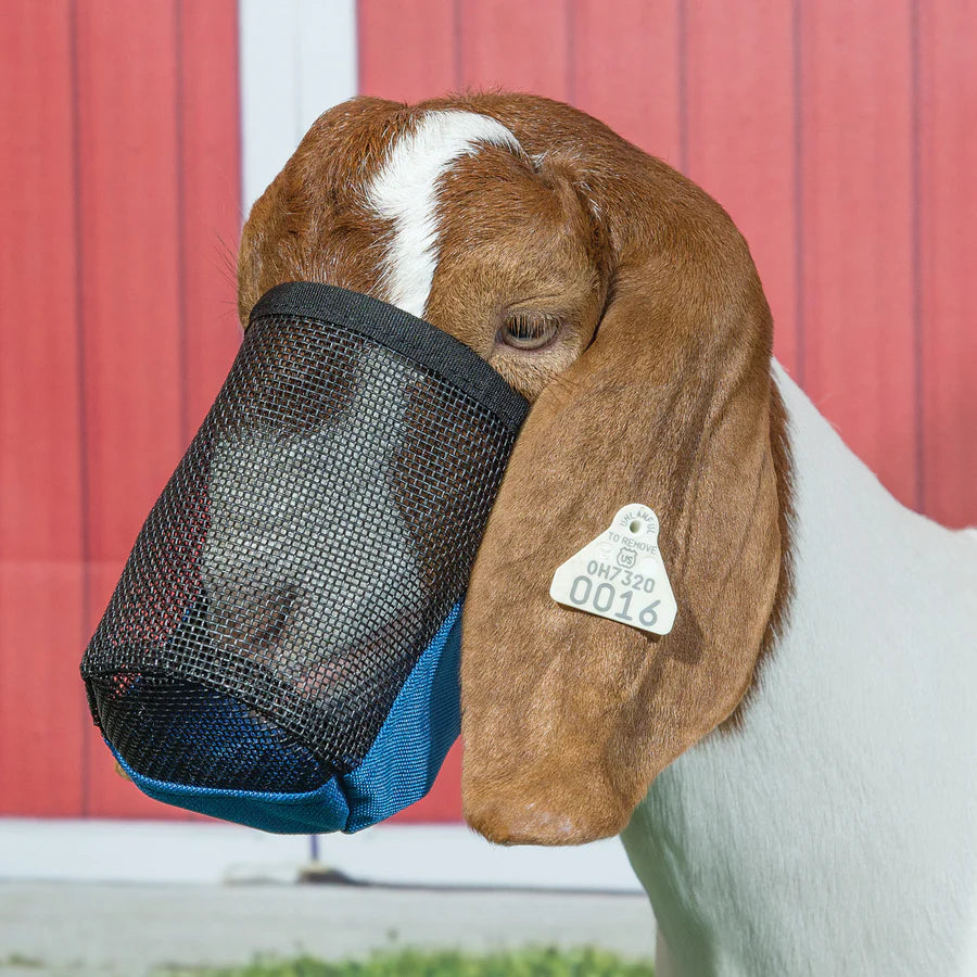 Weaver Livestock Deluxe Adjustable Goat/Sheep Muzzle – Tom's Hay Farm