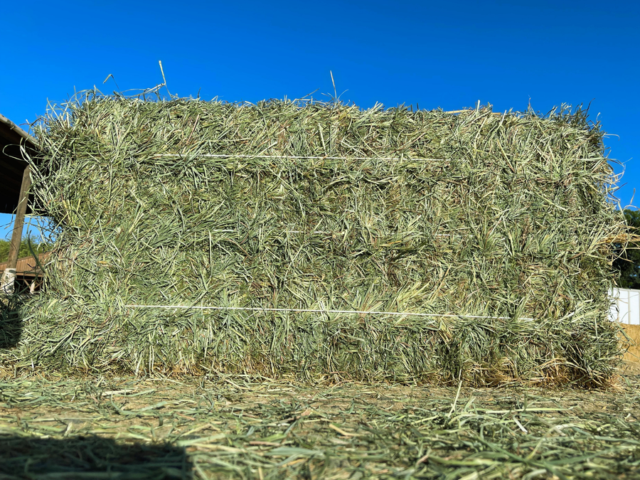 King Brand Cotton Seed Hulls, 50 lb. Bag – Tom's Hay Farm
