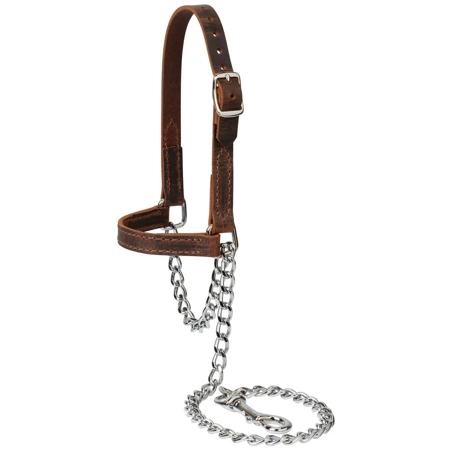 Weaver Livestock Water Buffalo Leather Goat Halter, Large – Tom's Hay Farm